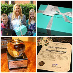 Summer Themed Math, Literacy, and Science Series - Tunstall's Teaching ...