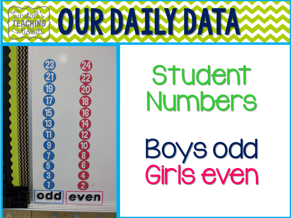 Daily Data Ideas! - Tunstall's Teaching