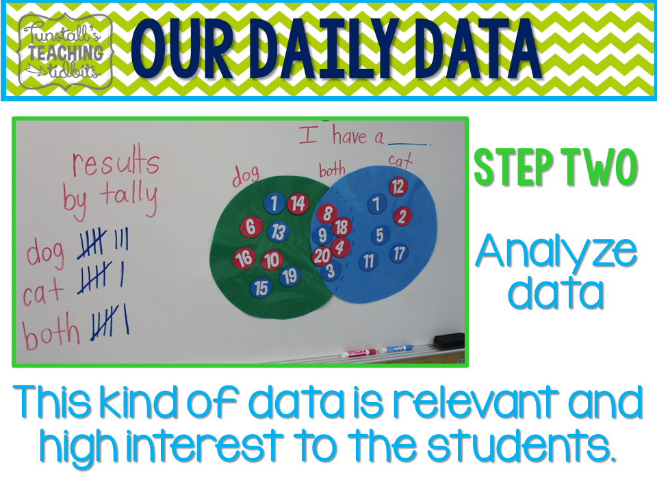 Daily Data Ideas! - Tunstall's Teaching
