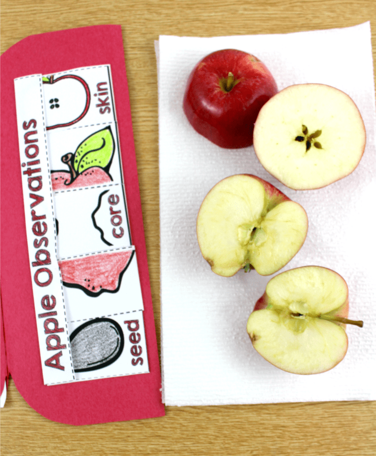 Apple Science - Tunstall's Teaching