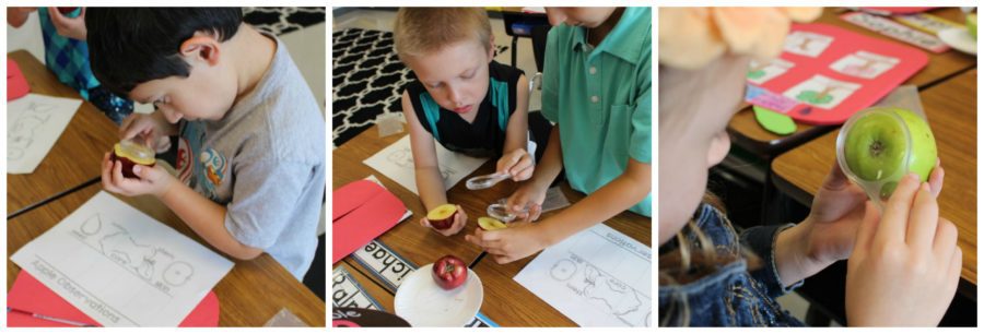 Apple Science - Tunstall's Teaching