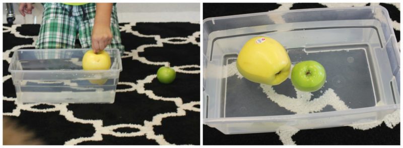 Apple Science - Tunstall's Teaching