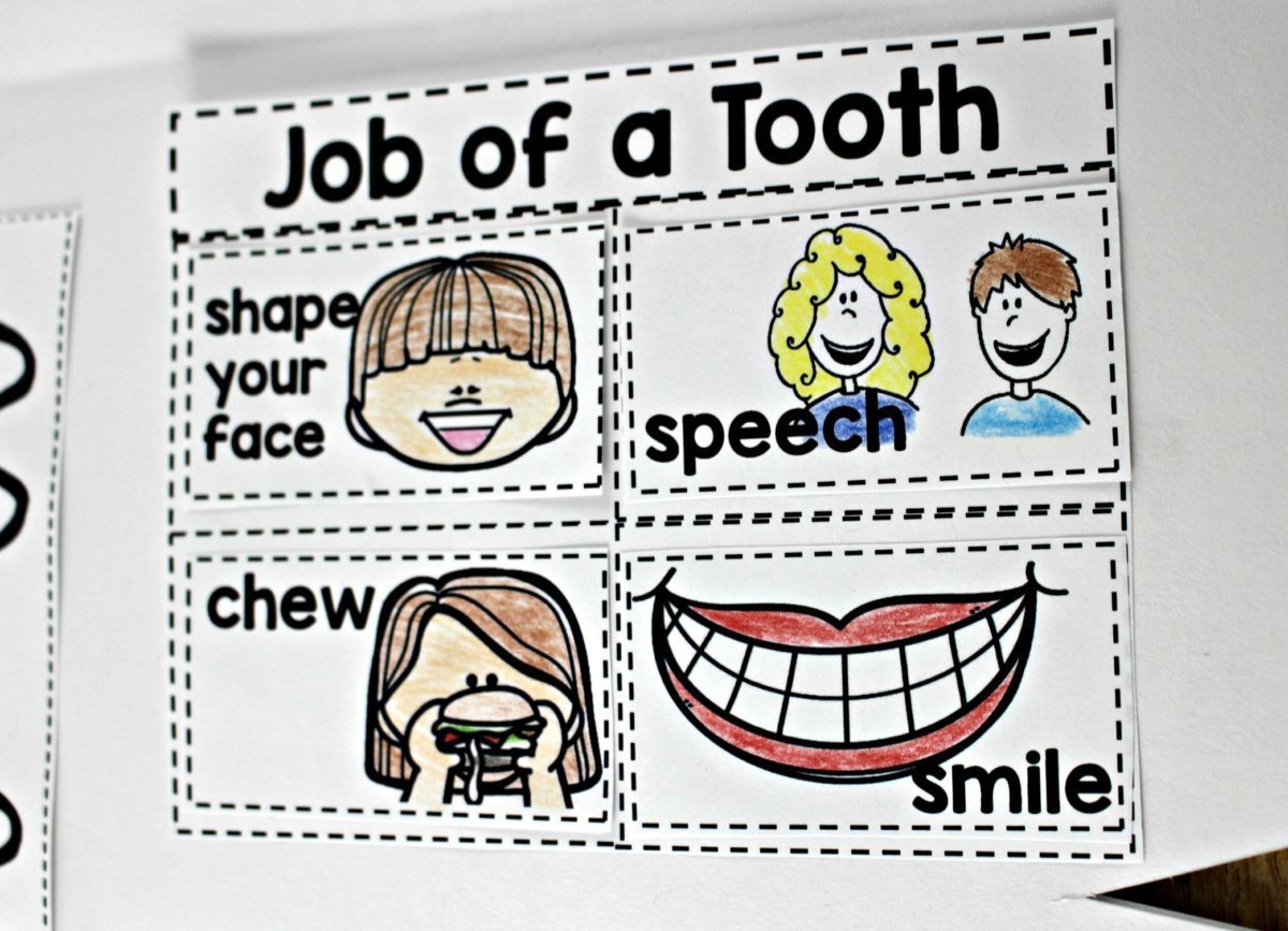 Dental Health Tooth Book - Tunstall's Teaching