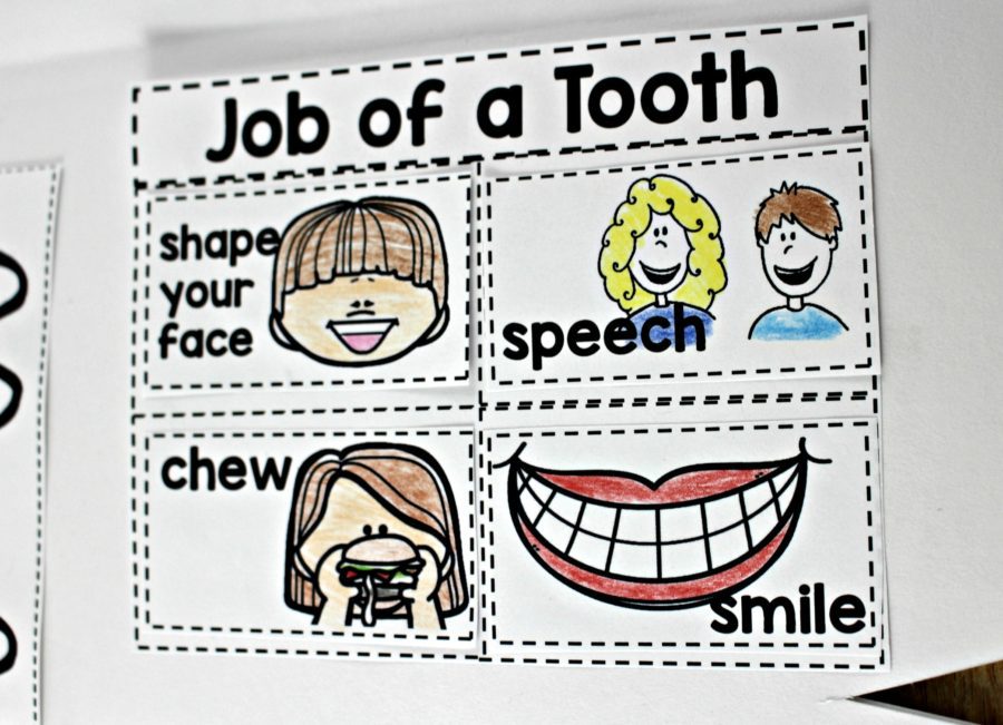 Dental Health Tooth Book - Tunstall's Teaching