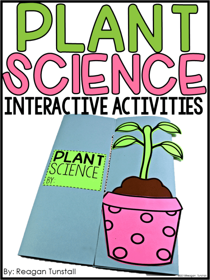 Interactive Plant Science - Tunstall's Teaching