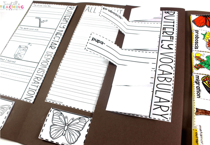 Interactive Butterfly Science - Tunstall's Teaching