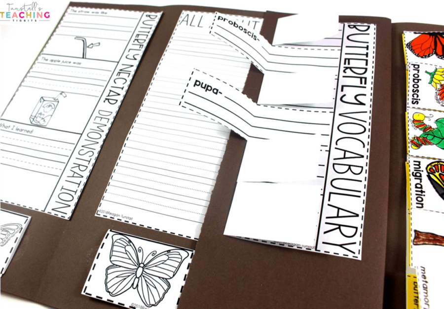 Interactive Butterfly Science - Tunstall's Teaching