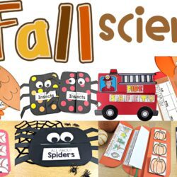 Insect Science Activities - Tunstall's Teaching Tidbits