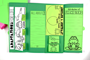 Amphibians and Frogs Science - Tunstall's Teaching
