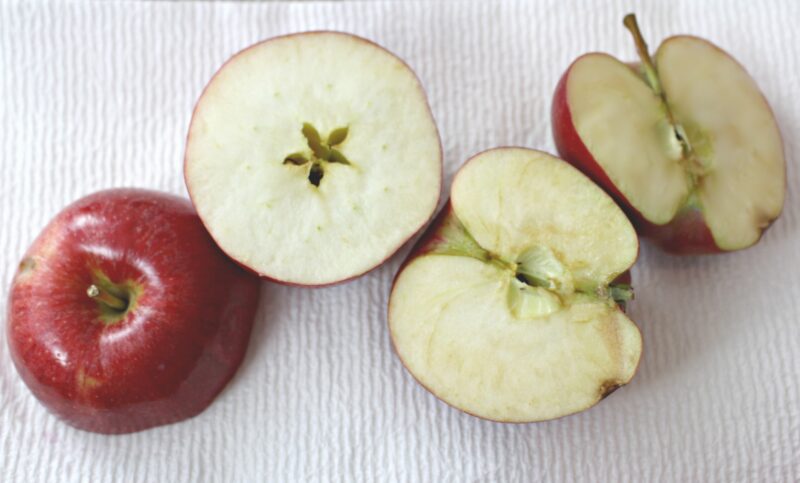 Apple Ideas Across the Curriculum - Tunstall's Teaching