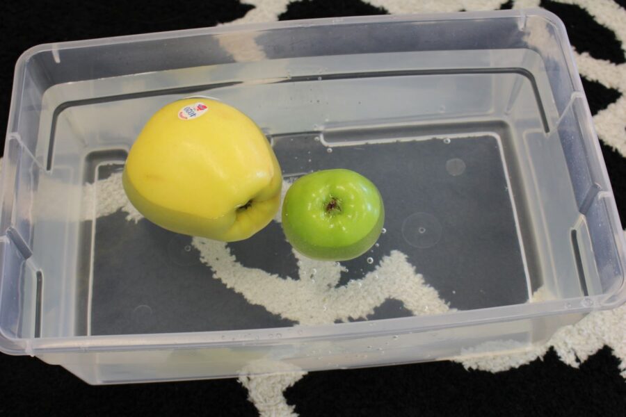 Apple Ideas Across the Curriculum - Tunstall's Teaching