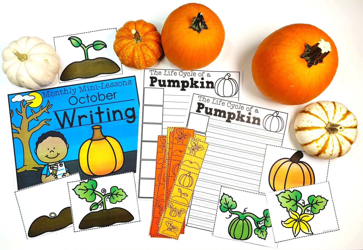 Pumpkin Themed Learning - Tunstall's Teaching Tidbits