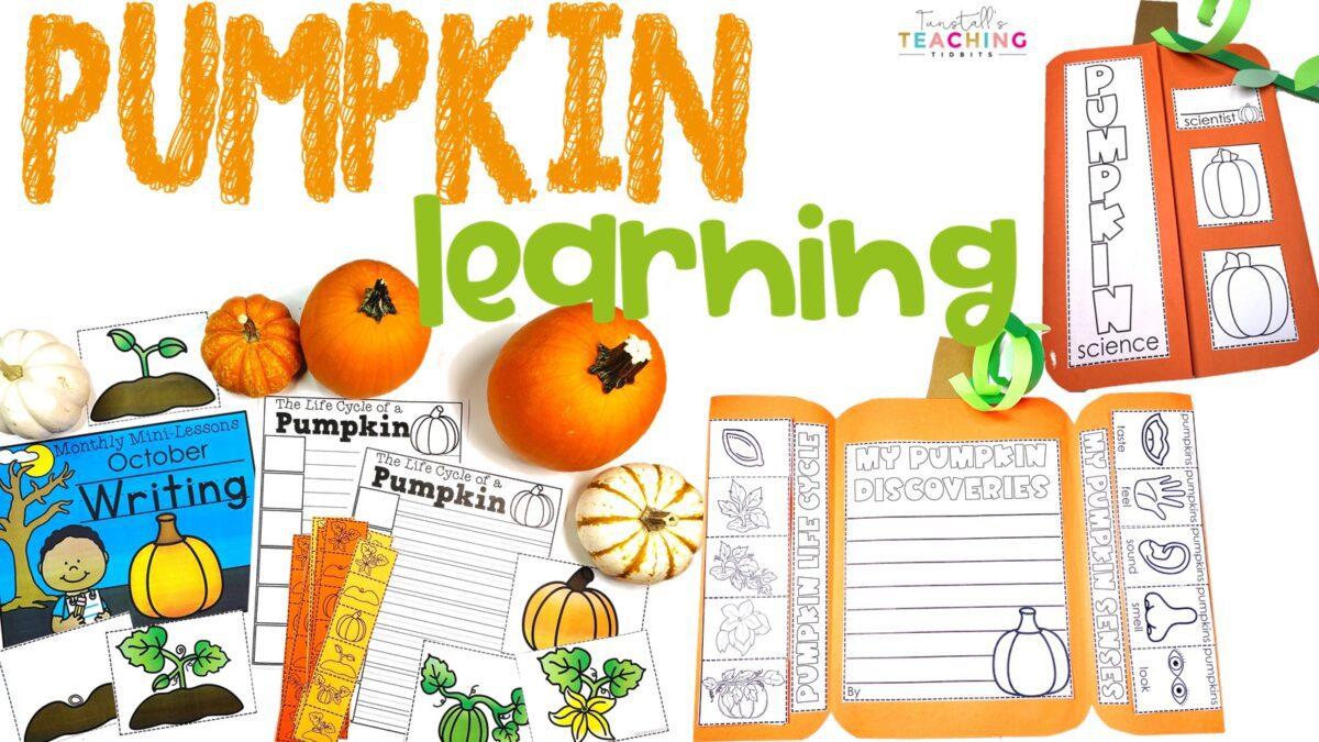Blog - Tunstall's Teaching Tidbits